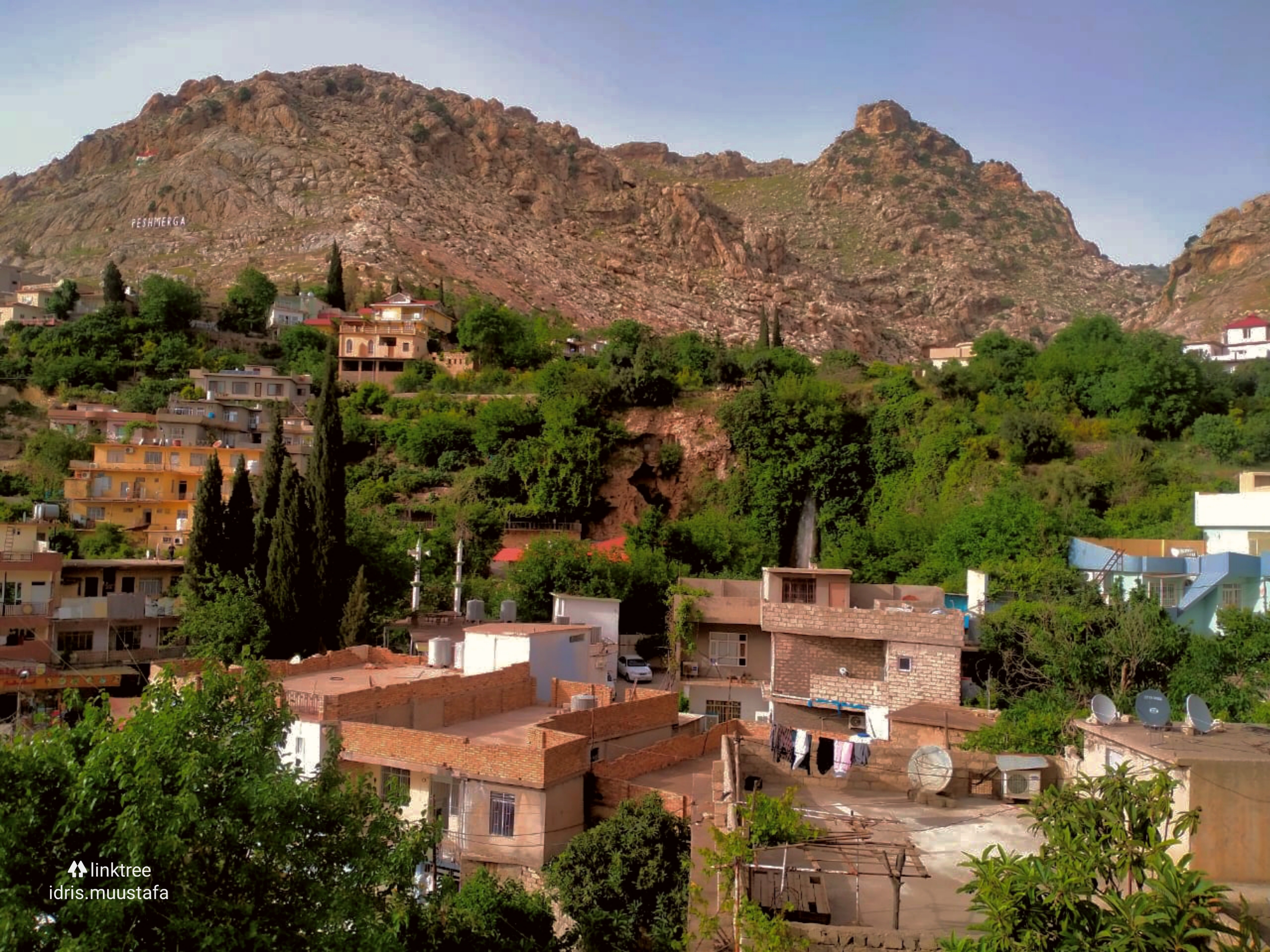 إدريس مصطفى - Idris Mustafa